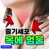 목에 멍울왼쪽 오른쪽 임파선염 몽우리 치료 병원 네이버 블로그